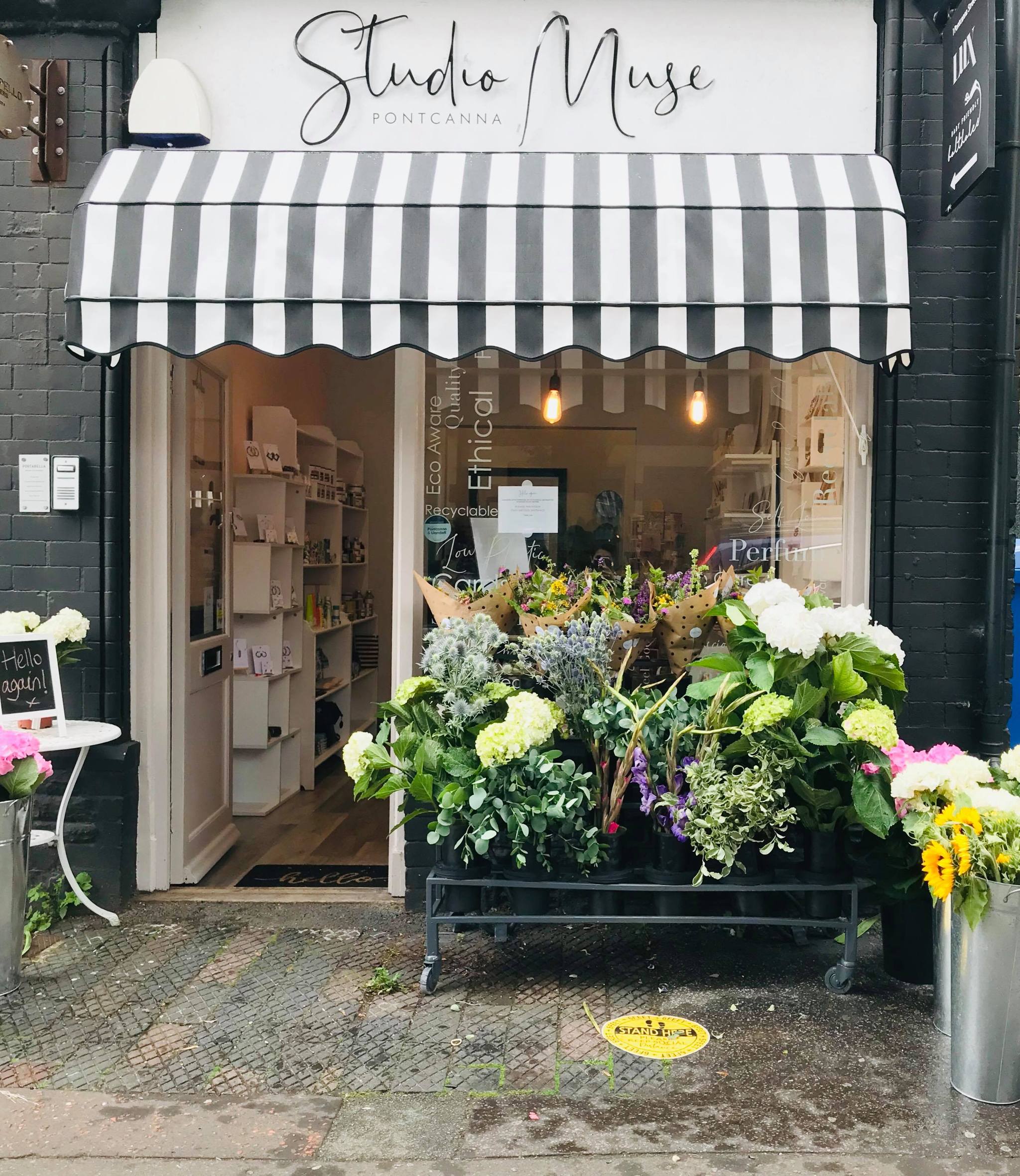 Studio Muse - View Magazines