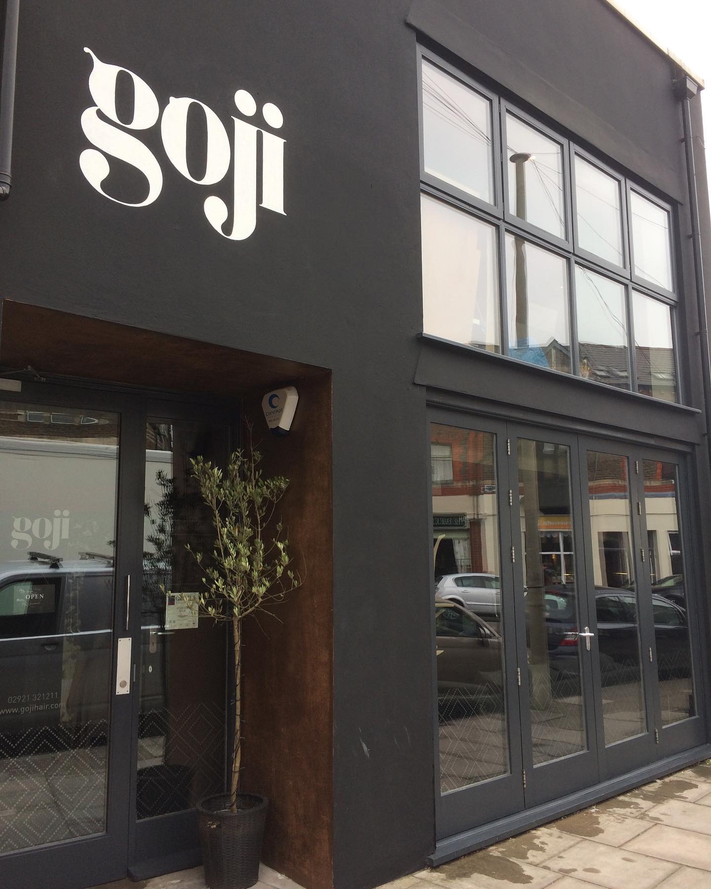 Goji Hair - View Magazines